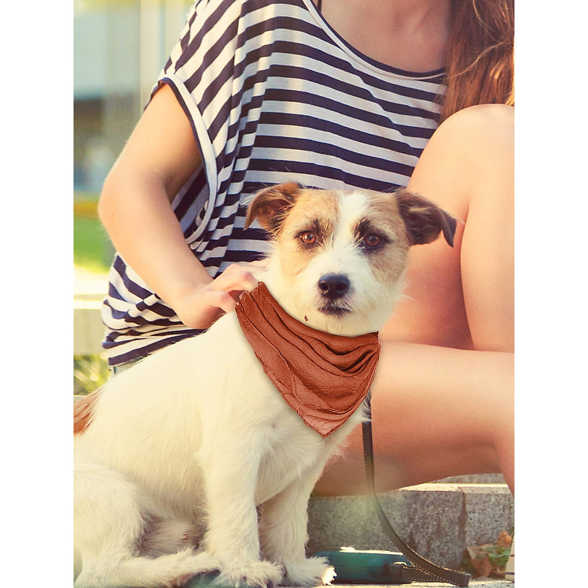 Boao 6 Pieces Chiffon Scarf 1950s Square Scarf Neck Head Scarfs Vintage Soft Scarf Polyester Scarves for Women Girl Lady (Red, Pink, Coffee, Atrovirens, Light Blue, Light Purple,)