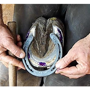 SAV-A-HOOF Gel II by SBS Equine, Hoof Treatment, Long - Lasting Time Release Formula, No Messy Waste or Run-Off (4 oz)