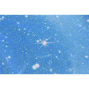 DANSHOW Gymnastics Leotards for Girls Kid Shiny Biketard Child Athletic Unitard(40701-S)