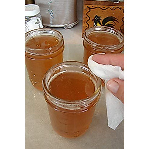 1128-Scuppernong/Muscadine,White,Tame (Vitis rotundifolia) Seeds by Robsrareandgiantseeds UPC0764425787334 Non-GMO,Organic,Historic Plants, Bonsai,1128 Package of 5 Seeds