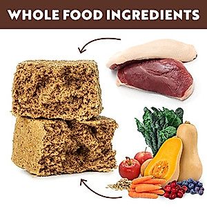 Primal Freeze Dried Cat Food Nuggets Duck, Complete & Balanced Scoop & Serve Healthy Grain Free Raw Cat Food, Crafted in The USA (14 oz)