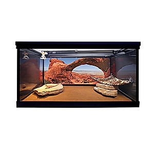Carolina Custom Cages Reptile Habitat Background, Big Arch, 15.75" x 36"