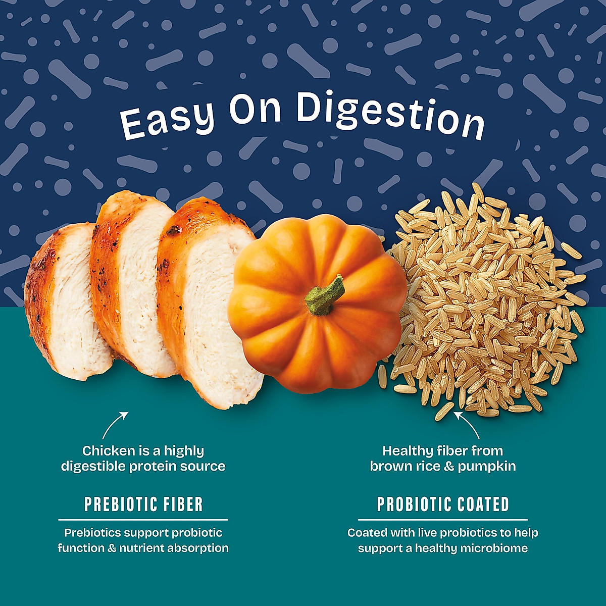 Natural Balance Health Protection Small Breed Dry Dog Food – Whole Body Health, Easy on Digestion Dog Food Made with Chicken, Brown Rice & Pumpkin for Dogs - 4lbs.