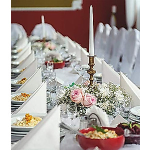 Hyoola Tall Taper Candles - Tapered Candles - White Dripless Candle Sticks - 8 Inch (20cm) - 7 Hour Burn Time (30-Pack)