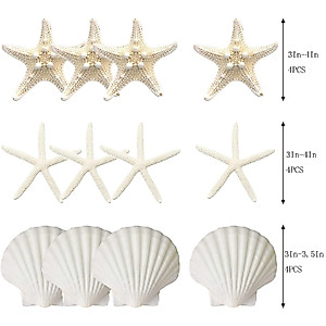 JQAQJU 3-4 Inches Large Starfish and Scallop Shells for Crafts 12PCS, Natural Beach Sea Shells for Crafting, Baking Shells Perfect for White Christmas Decor Beach Party Wedding Fishtank DIY Crafts