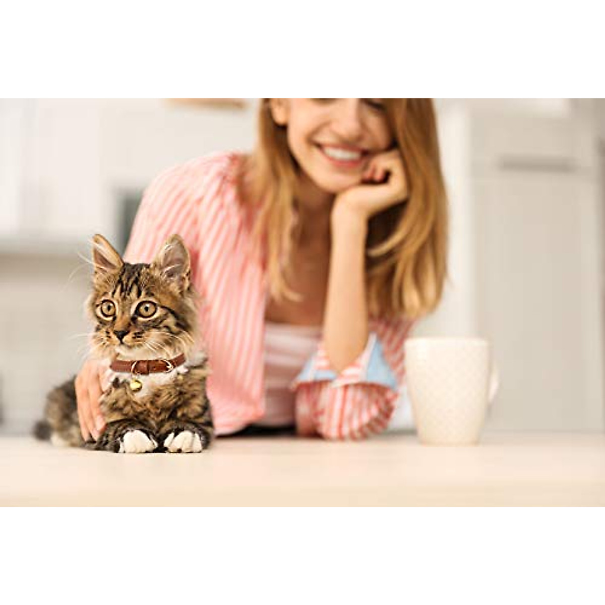 Jamktepat 3 Pack Leather Cat Collars with Bells Soft Pet Safety Collar Kitten Collars with Bell Black Chocolate Beige(S)