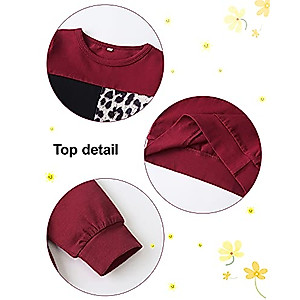 WESIDOM Baby Girl Clothes Sets, 2pcs Autumn Long Sleeve Clothes Outfits Toddler Girl Sweater Sets