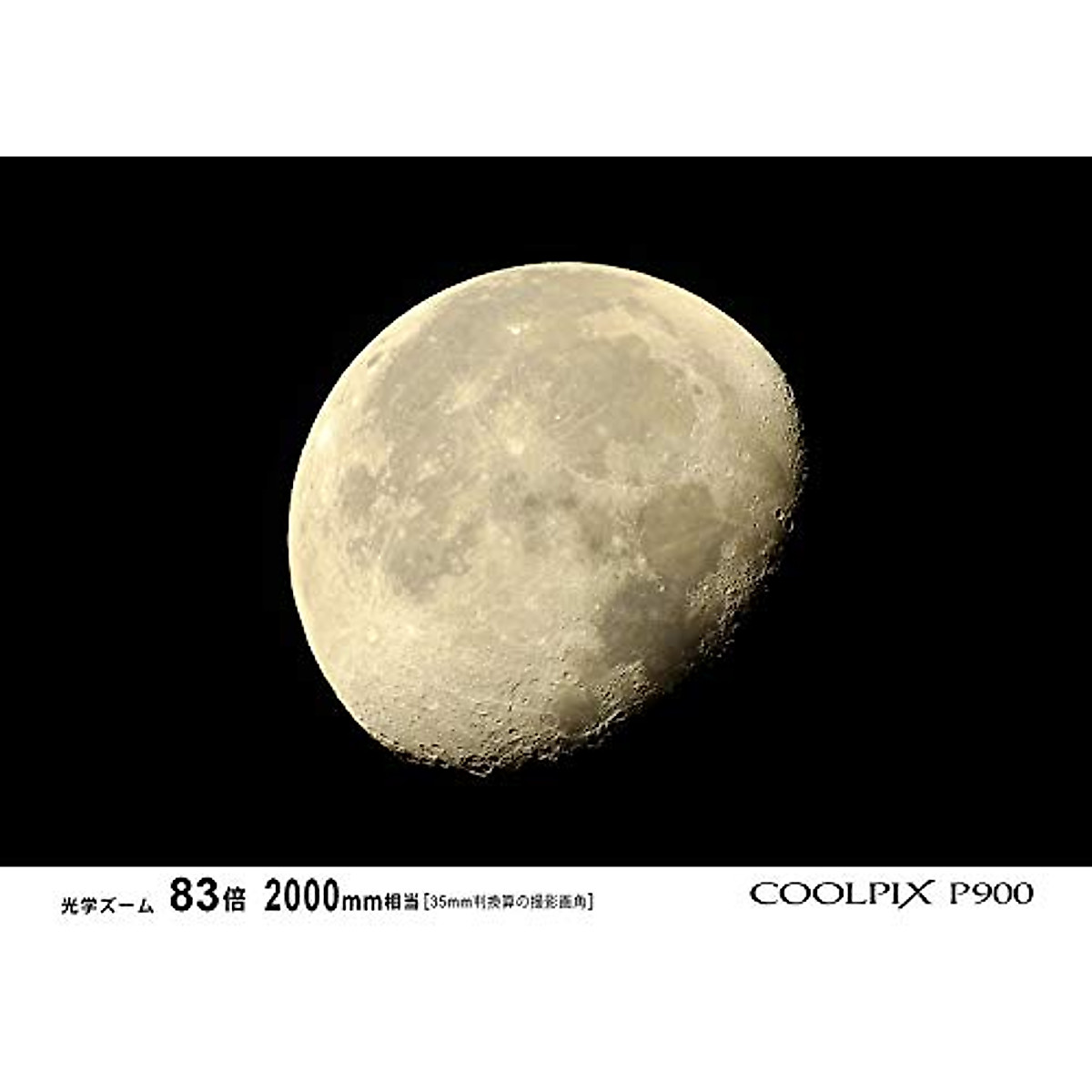 Nikon COOLPIX P900 16MP Digital Camera - International Version (No Warranty) Japan Version