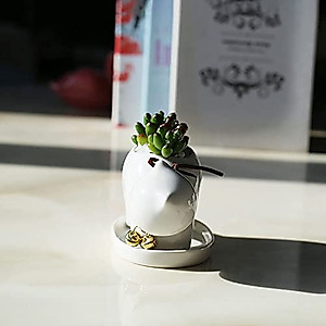 YONGYAN Cartoon Cat Flower Pot Statue Decoration Ceramics Garden Planters Containers Pot Bookshelf Office Desktop Decor