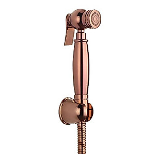JIYTG Toilet Spray Gun Set Handheld Bidet Sprayer for Toilet Bidet Shower Sprayer Head with Hose Brass Cold Water Wall Mounted Rose Cloth Diaper Toilet Sprayer Kit