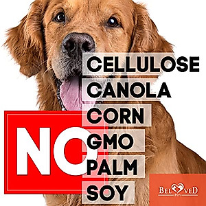 Dog Anti Itch & Allergy Relief Chews - Dry Itchy Skin & Hot Spot Treatment with Probiotic, Omega 3 Oil, Hemp - Immune Supplement & Seasonal Allergies Medicine for Dogs, Puppy - 140 Bites Made in USA