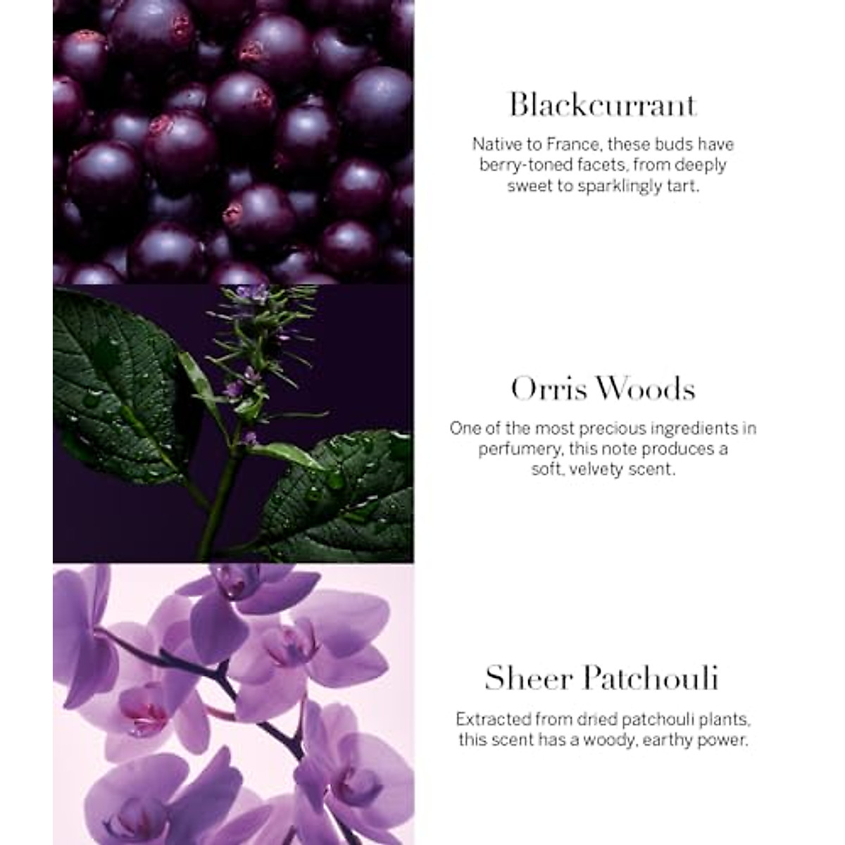 Victoria's Secret Very Sexy Orchid Eau de Parfum Rollerball, Notes of Blackcurrant, Orris Woods & Sheer Patchouli, Travel Size Mini Perfumes for Women (0.23 oz)