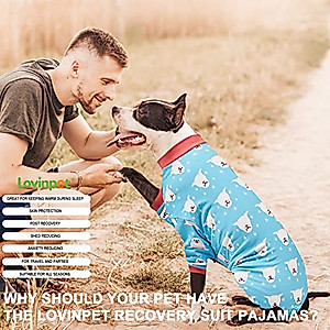 LovinPet Large Big Dog Pajamas - Anxiety Calming, Anti Licking Dog Onesie, Turquoise Sea Plants Print. Large Breed Dog Jammies, Pet PJ's for Travel & Home,Blue 3XL