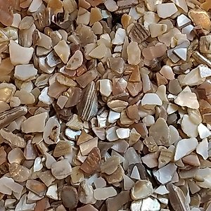 BeachWalk Small Natural Crushed Shells - for Weddings, Vase Filler, Home Décor, and Crafts (32 oz (2 lb), Natural Pearl)