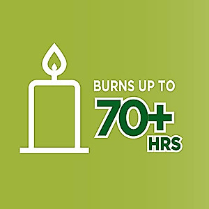 Coleman 70+ Hour Citronella Candle Outdoor Lantern - 6.7 oz, Green