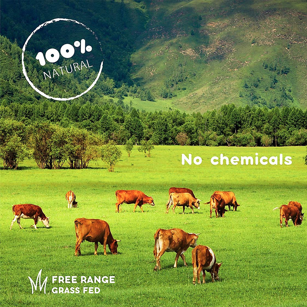 SUPER CAN BULLYSTICKS Beef Trachea Dog Chews 6'' (10 Count) | 100% Natural Farm Raised Beef Dental Treats | Non-GMO Chews for Puppies and Adult Dogs