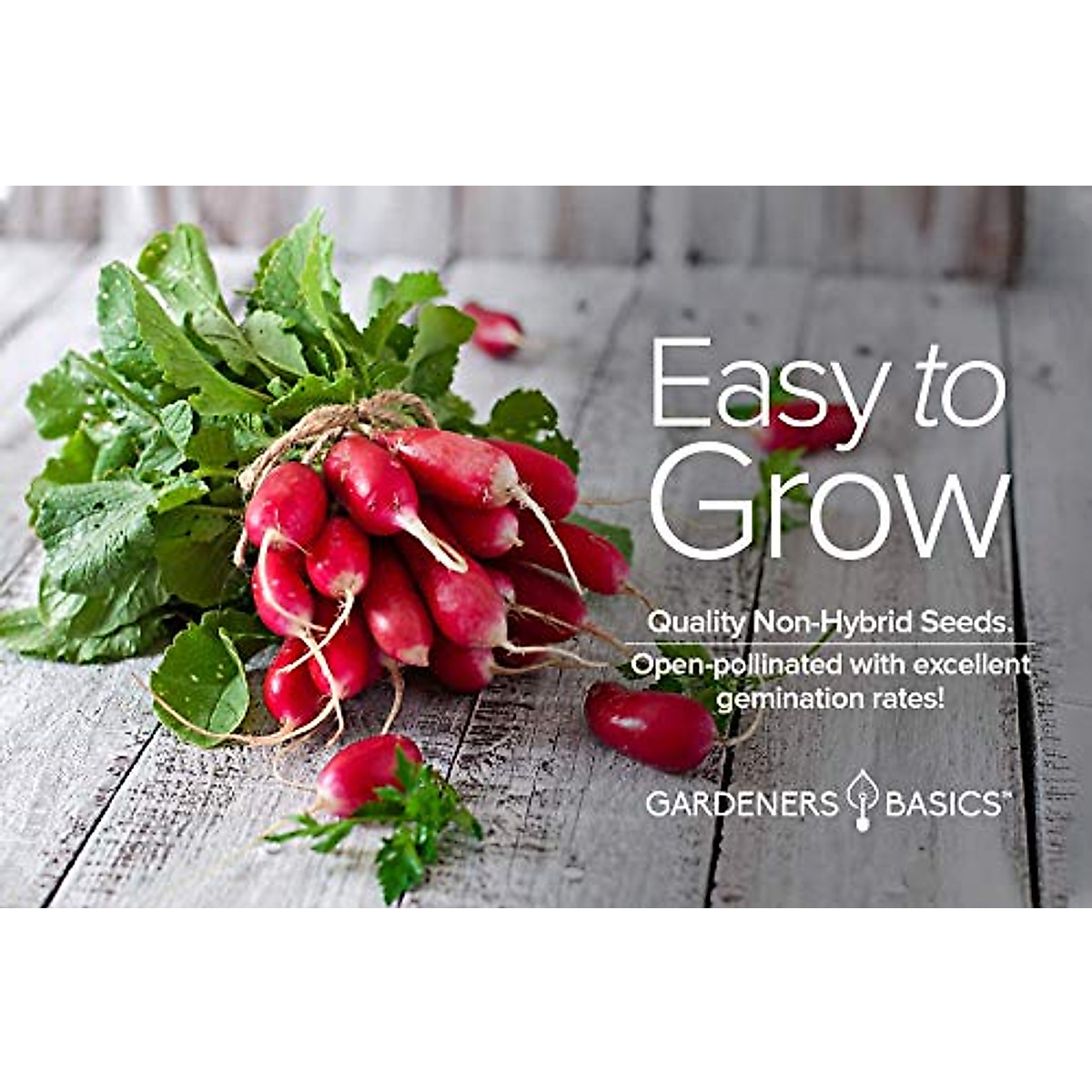 Radish Seeds for Planting - French Breakfast Variety Heirloom, Non-GMO Vegetable Seed - 2 Grams of Seeds Great for Outdoor Spring, Winter and Fall Gardening by Gardeners Basics