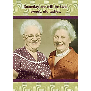 SHADE TREE GREETINGS Funny Women's Birthday Greeting Card (5" x 7") by Actual Pictures | 3 Pack + 3 Envelopes (Two Old Ladies)