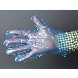 Daxwell Poly Gloves, Easy-Fit Food Prep Gloves, Header Gloves, One Size Fits All, Blue, With Wall Mount, F10003538 (Case of 1,000, 20 Cards of 50)
