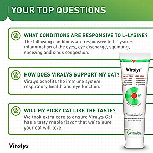 Vetoquinol Viralys Gel L-Lysine Supplement for Cats, 5oz - Cats & Kittens of All Ages - Immune Health - Sneezing, Runny Nose, Squinting, Watery Eyes - Palatable Maple Flavor Lysine Gel