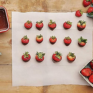 4-pk Reynolds Cut-Rite Wax Paper, 75 Square Feet (23m x 302mm)