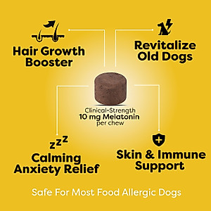 Doc Itchy Rejuvenating Hair-Grower Dog Pet Chews | Medical-Strength 10mg Melatonin | Hair Growth Booster | Senior Dog Energizer | Calming | Clinical High-Dose | Food Allergy Safe | Vegan | 90 Count