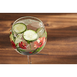 Ginology Poppies Copa Gin Glass