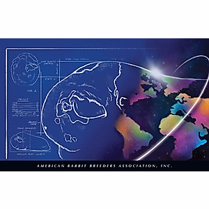 ARBA Standard of Perfection 2021-2025