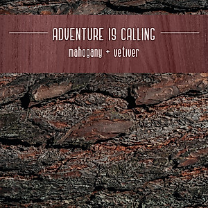 Essential Elements by Candle-lite Wood Wick Scented Candle, Adventure is Calling, One 16 oz. Single-Wick Aromatherapy Candle with 50 Hours of Burn Time, White