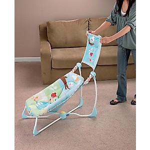 Fisher-Price Soothe & Go Bouncy Seat