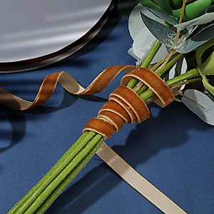 Christmas Wired Velvet Ribbon with Gold Edge Velvet Waterproof Ribbon Wrapping Velvet Decoration Ribbon for Xmas Wreath Bows Floral Craft Ornaments(Khaki,3/8 Inch x 20 Yard)