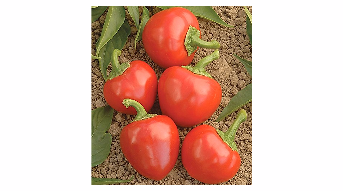 Sweet Red Cherry Pepper Seeds for Planting, 25+ Heirloom Seeds Per ...