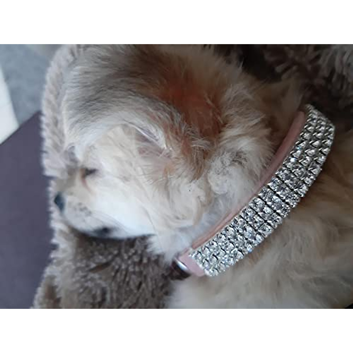 CHUKCHI Soft Velvet Safe Cat Adjustable Collar Bling Diamante with Bells,11 inch for Small Dogs and Cats (Pink)