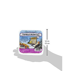 Pine Tree 1202 Fruit Berry and Nut Suet Cake, 12-Ounce