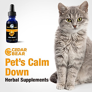 Cedar Bear - Pet’s Calm Down - All-Natural Dog Supplement for Stress Relief, Alcohol-Free Cat Calming Products, Also for Birds & Exotic Pets, 1 fl oz/30 ml