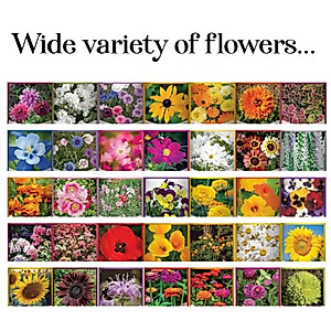 Flower Seeds Packets for Planting 35 Individual Varieties Perennial, Annual, Wildflower Seeds for Planting Outdoors for Bees and Butterflies - Semillas de Flores Hermosas by Gardeners Basics.