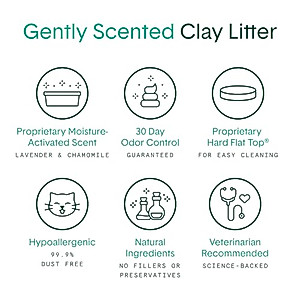 Boxie® Gently Scented 30 Day Natural Odor Control Cat Litter, 16lb Clumping Clay Kitty Litter