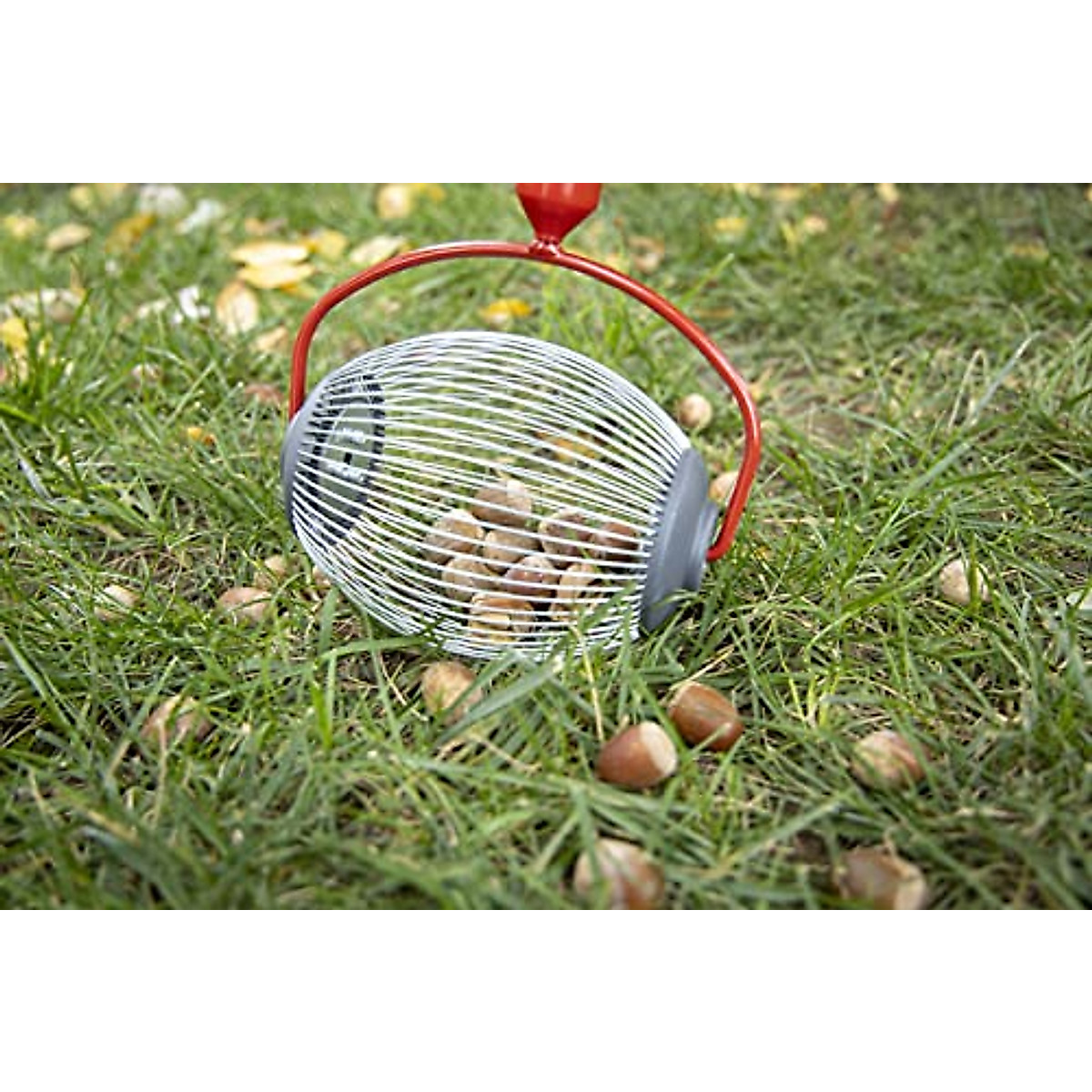 Garden Weasel Nut Gatherer 95404 - Large Nut Gatherer - Yard Roller - Picks up Walnuts, Small Fruits, Sweet Gum Balls, and Magnolia Seeds from 1.5” to 3”
