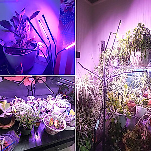 Wolezek Grow Lights for Indoor Plants, Full Spectrum LED Plant Grow Light with Adjustable Stand and Sturdy Clip, 5-Heads Plant Light with Auto 6/12/16H Timer, 3 Light Modes, 5 Levels Dimmable