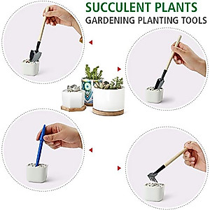 G GOOD GAIN Garden Succulent Kit with Organizer Bag, Indoor Mini Hand Gardening Tool Set, 14 Pieces Tools for Bonsai Planter Miniature Fairy Planting Care.(Blue)