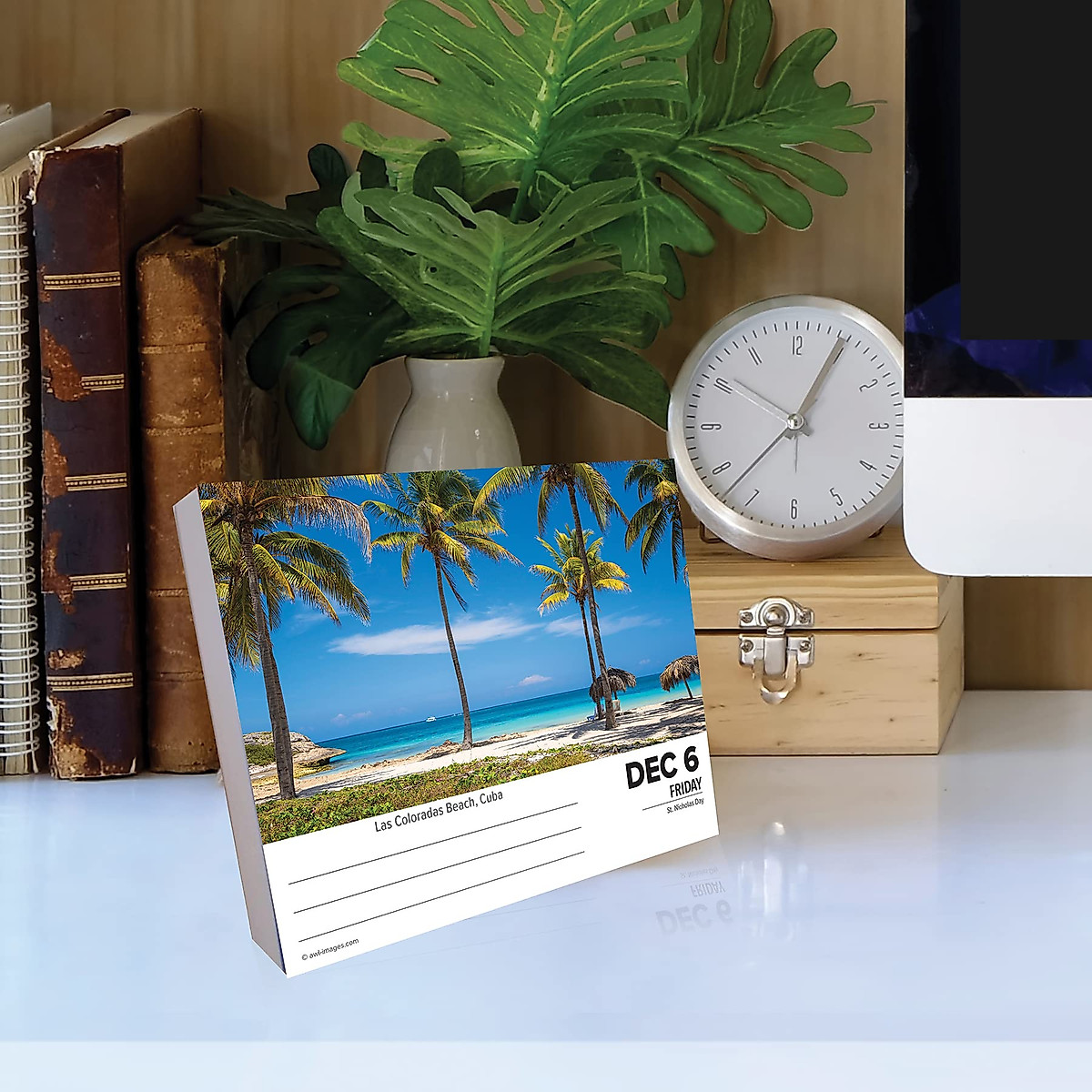 Willow Creek Press Ah, The Beach! Daily 2024 Box/Desk Calendar (5.86" x 4.72")