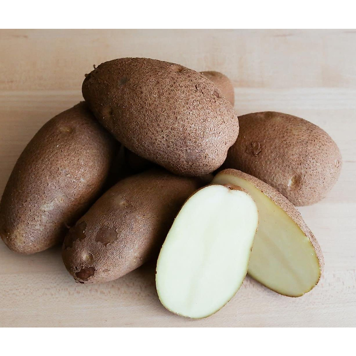 TomorrowSeeds - PRE-Order Now! Available March 2025 - Russet Seed Potatoes | USDA Certified for Growers Sz B Non GMO Brown Burbank Idaho Potato Tubers Bulbs Planting Seed 2025-1 Pound