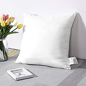 OTOSTAR Outdoor Throw Pillow Inserts - Pack of 1 Water Resistant Cushion Inner Pads for Patio Garden Coffee House Decorative Waterproof Pillow Inserts 16x16 Inch -White