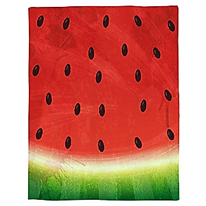 Fleece Blankets Throw Couch Bed Sofa Warm,Soft Microfiber Plush Reversible All Season Blanket for Adults/Kids - Watermelon in Watercolor Style 40" x 50"