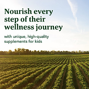 MegaFood Kids One Daily - Kids Vitamins - With Vitamin B, Vitamin C, Vitamin D & Zinc - Bone Health & Immune Support Supplement - Non-GMO, Vegetarian, Made Without 9 Food Allergens - 60 Mini Tabs