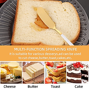 Butter Knife Stainless Steel Cheese Knife Household Butter Spatula, Jam and Dessert Small Scraper，Cheese Butter Spreaders (5Pcs Color mixing)