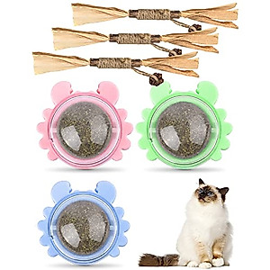 TINDTOP Catnip Balls & Silvervine Sticks Kit, Natural Catnip Toys for Kittens Teeth Cleaning, Matatabi Dental Care, Increase Appetite, Calm Cat Anxiety and Stress, Aggressive Chewers Cat Dental Toy