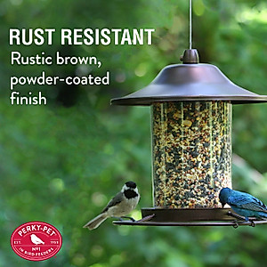 Perky-Pet 312-1SR Outdoor Panorama Wild Bird Feeder - 2 Lb Seed Capacity