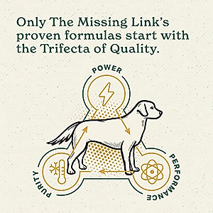 The Missing Link Hip & Joint Probiotics Superfood Supplement Powder for Dogs - Omegas 3&6, Fiber, Glucosamine, Chondroitin, MSM, HA - Cartilage & Bone Health, Joint Mobility & Flexibility - 1lb