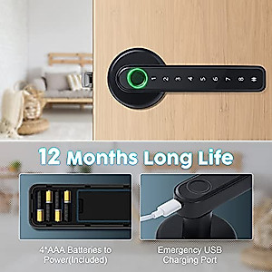 IRONZON Fingerprint Door Lock Door Knob with Keypad Keyless Entry Door Lock with Handle for Home Hotel Office Apartment Bedroom Black(F190)